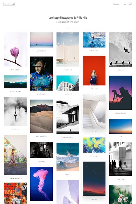 phlox-theme-photography - Phlox WordPress Theme