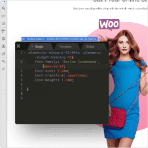 css-editor - Phlox WordPress Theme